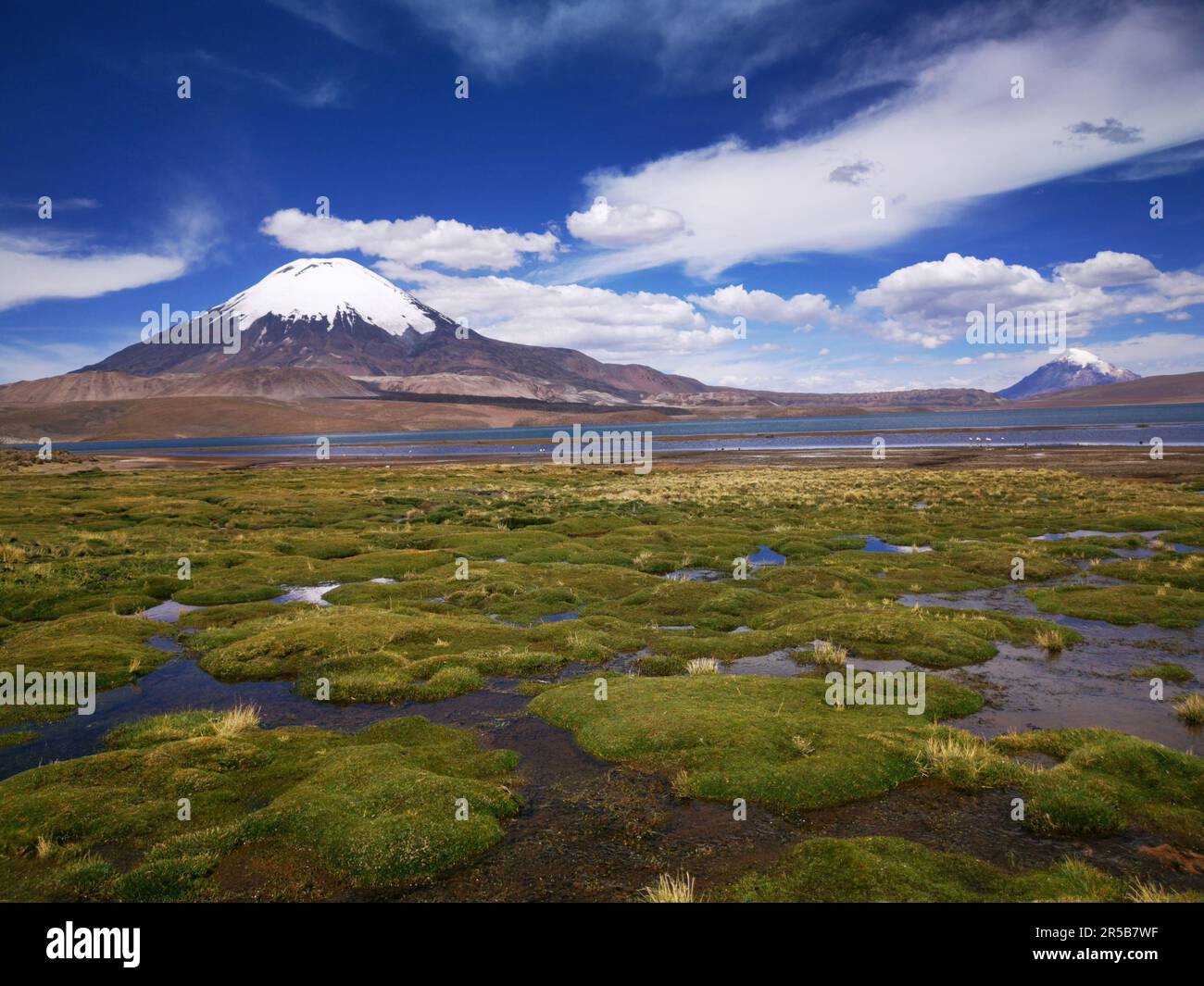 A scenic landscape featuring a tranquil valley and an erupting volcano ...