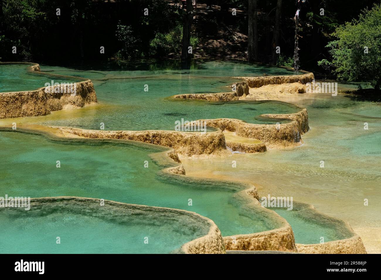 A group of five vibrant blue, crystal-clear pools connected by a ...