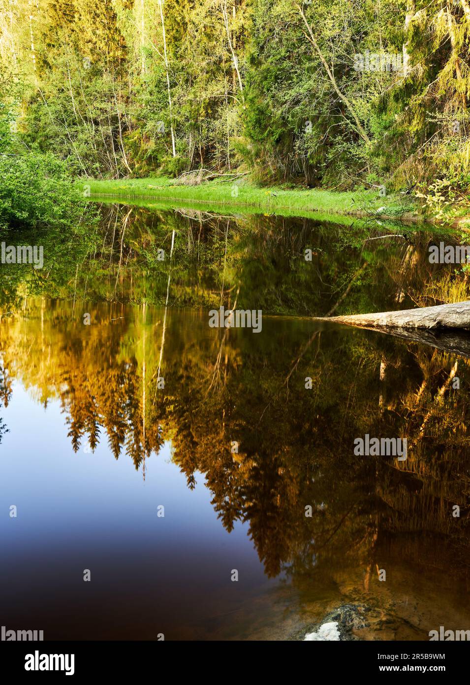 An idyllic landscape featuring a pristine river, surrounded by lush ...