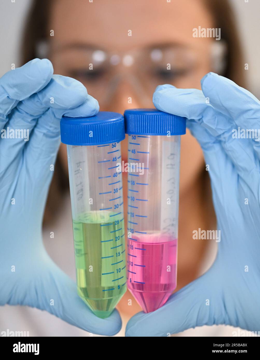 PRODUCTION - 23 May 2023, Hesse, Darmstadt: Biology lab technician ...