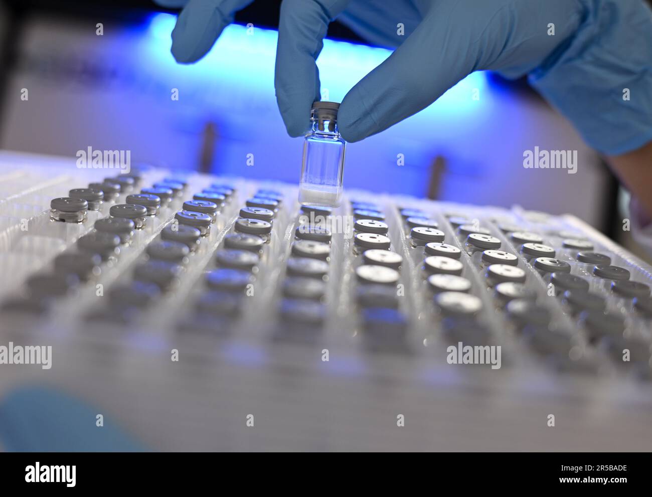 PRODUCTION - 23 May 2023, Hesse, Darmstadt: Biology lab technician ...
