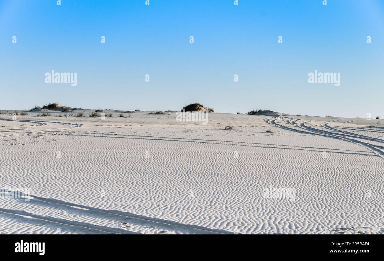 Desert dune driving qatar hi-res stock photography and images - Alamy
