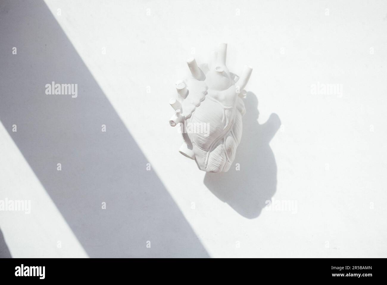 Closeup of a white plaster heart sculpture on a white background ...