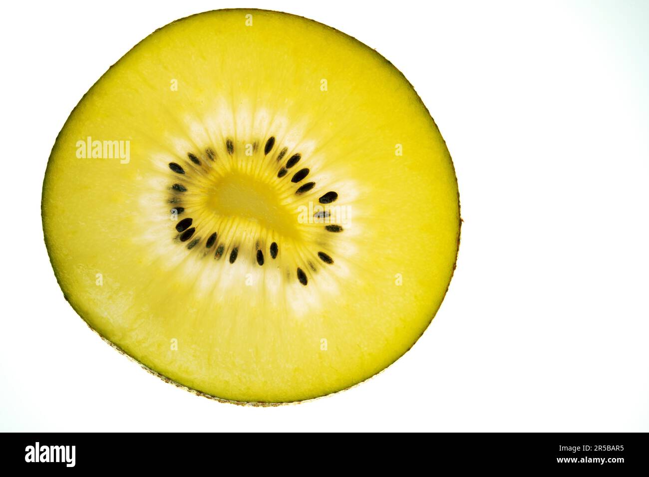 Macro image of a shone through kiwi slice Stock Photo - Alamy