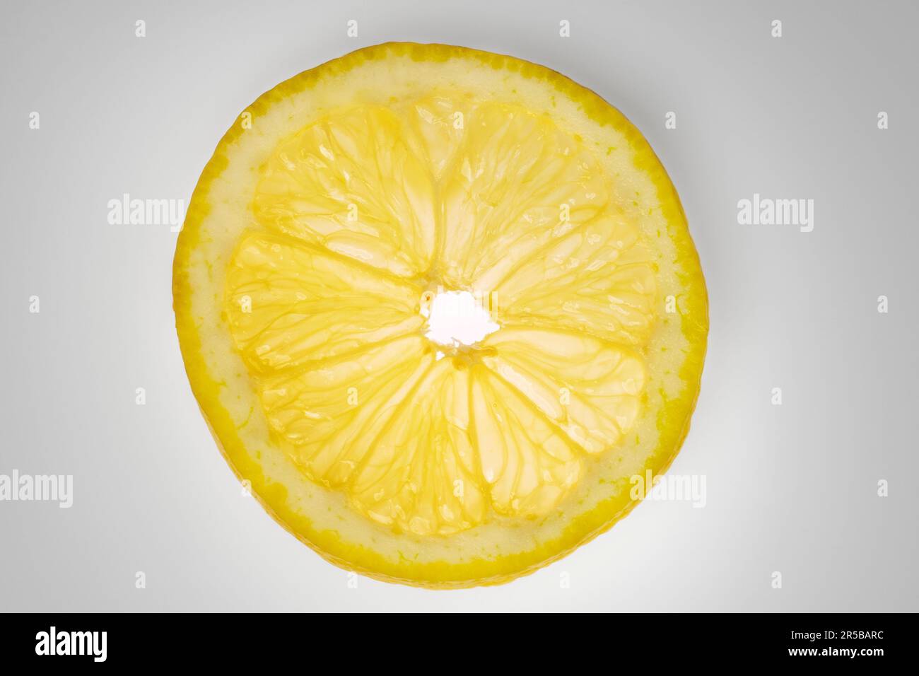 Macro close up shot through hi-res stock photography and images - Alamy