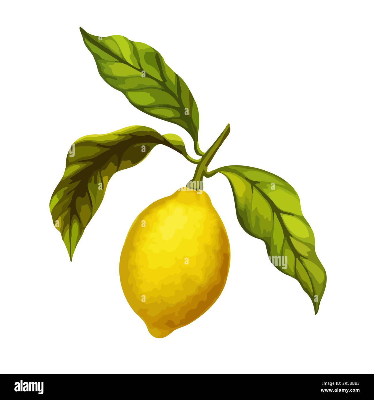 Lemon Tree Branch Clip Art