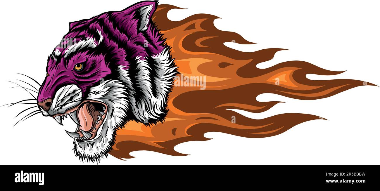 vector illustration of tiger head with flames Stock Vector Image & Art ...