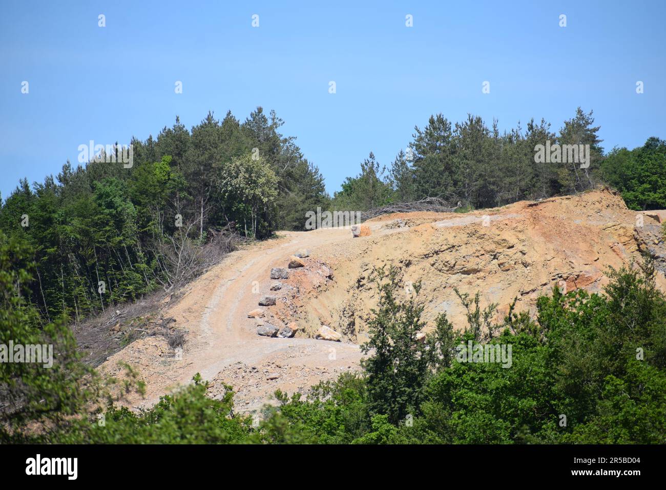 Hill plants erosion control hi-res stock photography and images - Alamy
