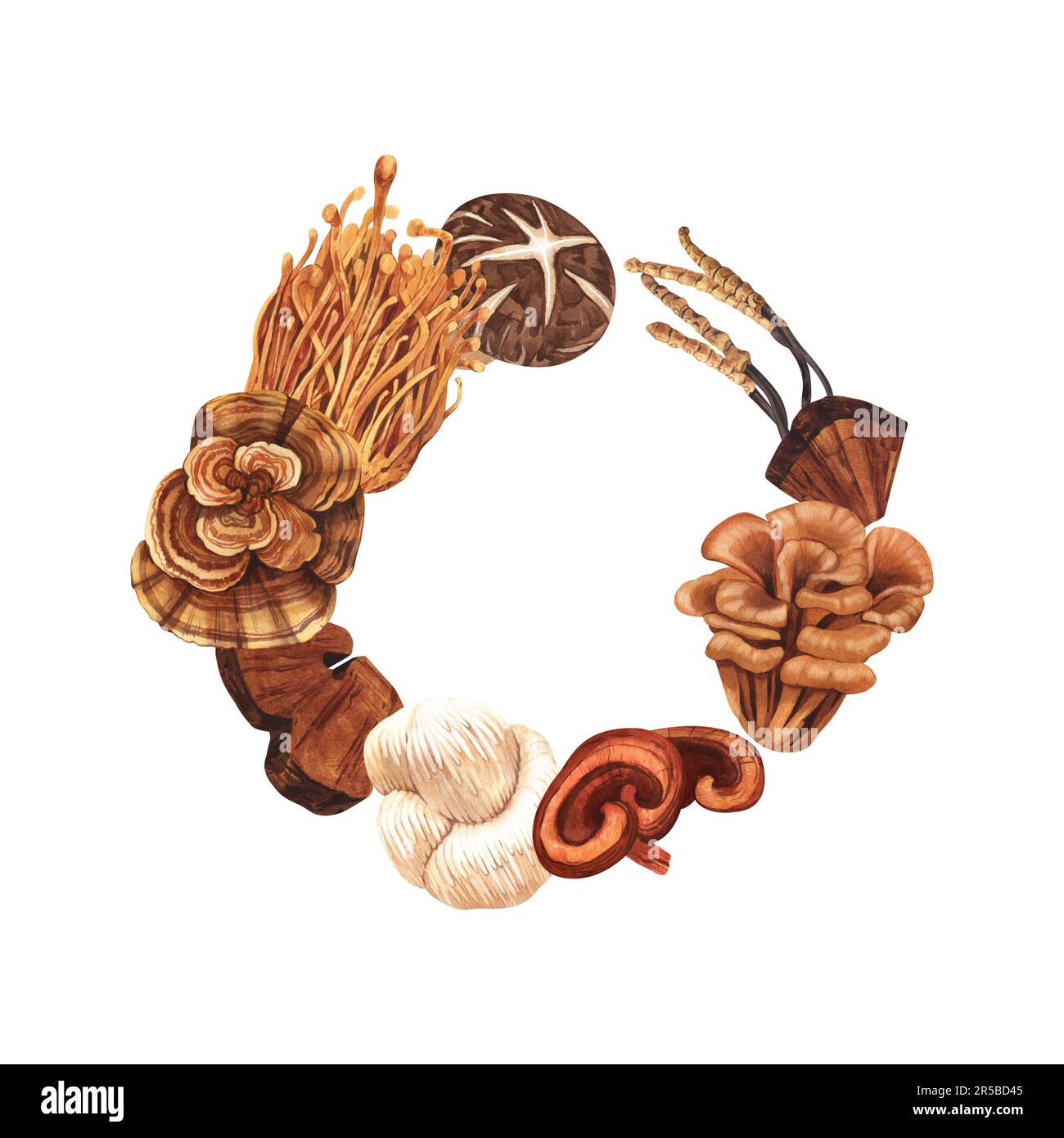 Watercolor round frame hi-res stock photography and images - Alamy