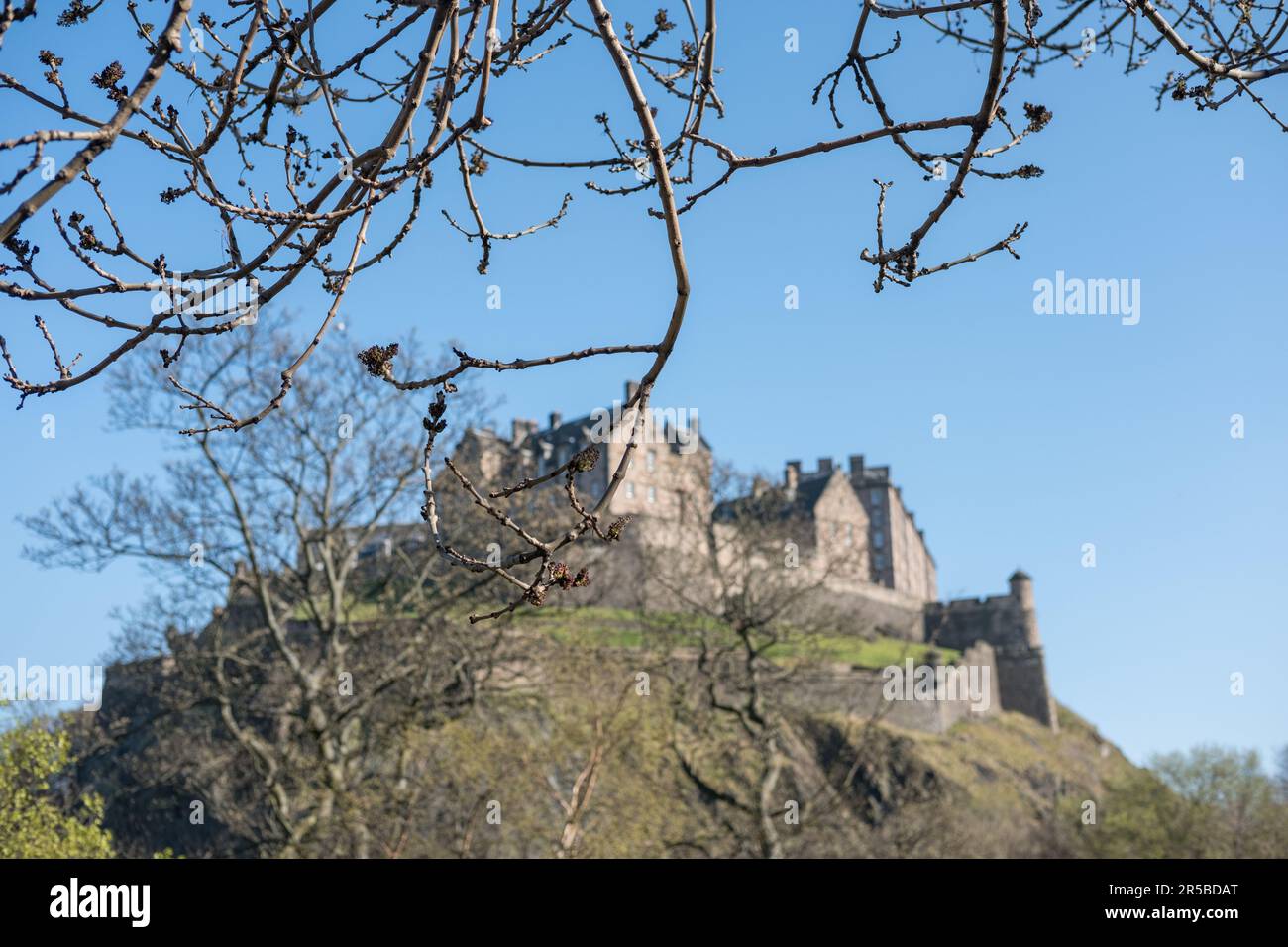 Edinburgh Castle behind the tree branches Stock Photo - Alamy