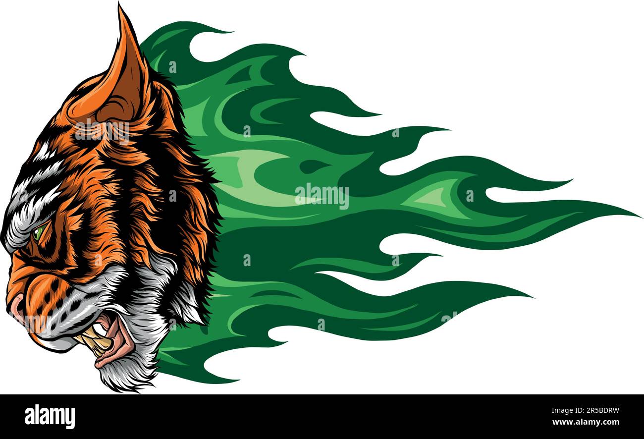 vector illustration of tiger head with flames Stock Vector Image & Art ...