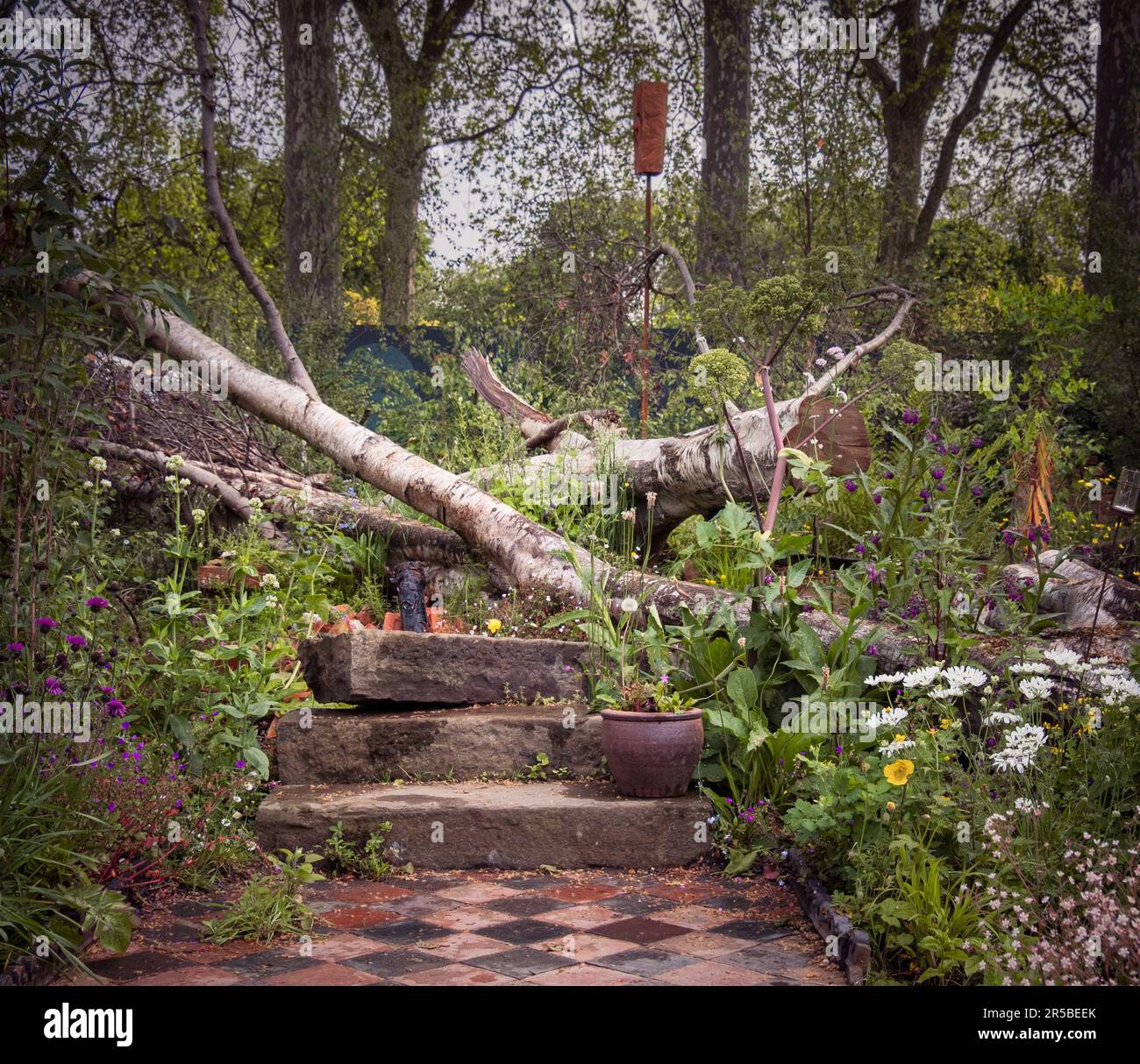 The Centrepoint Garden designed by Cleve West at the Chelsea Flower ...