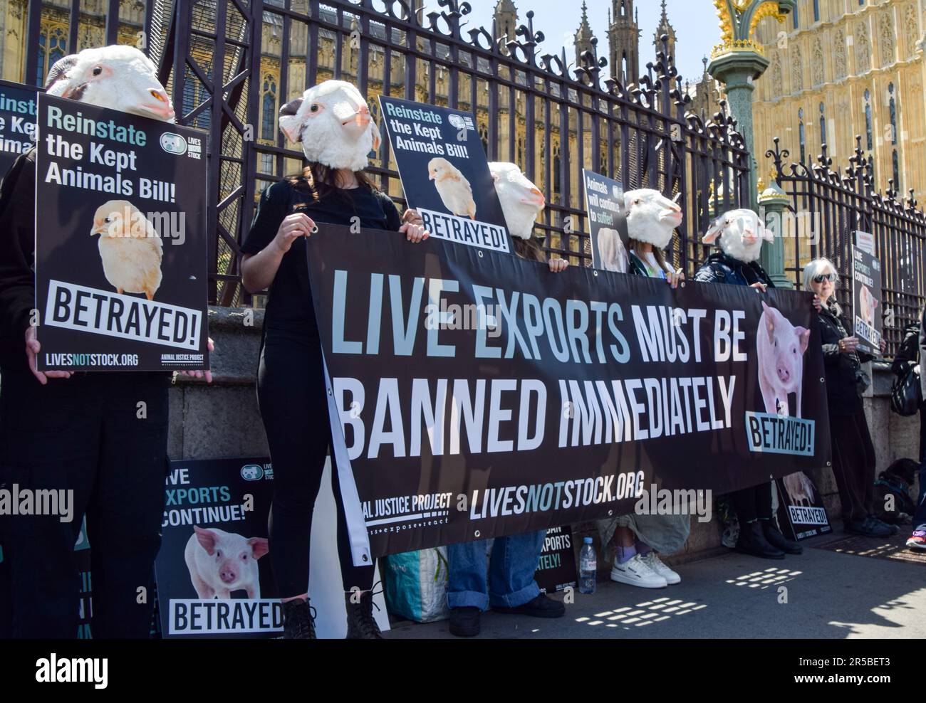 Cruelty to animals bill hi-res stock photography and images - Alamy