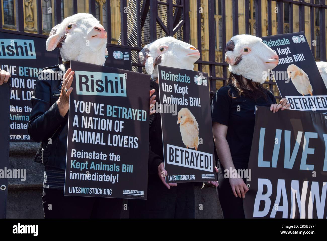 Cruelty to animals bill hi-res stock photography and images - Alamy