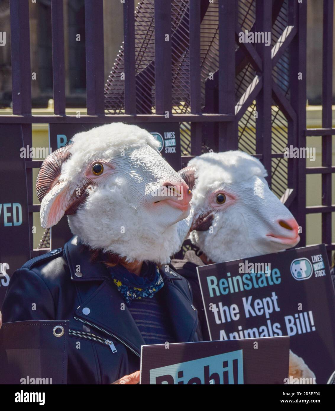 Cruelty to animals bill hi-res stock photography and images - Alamy