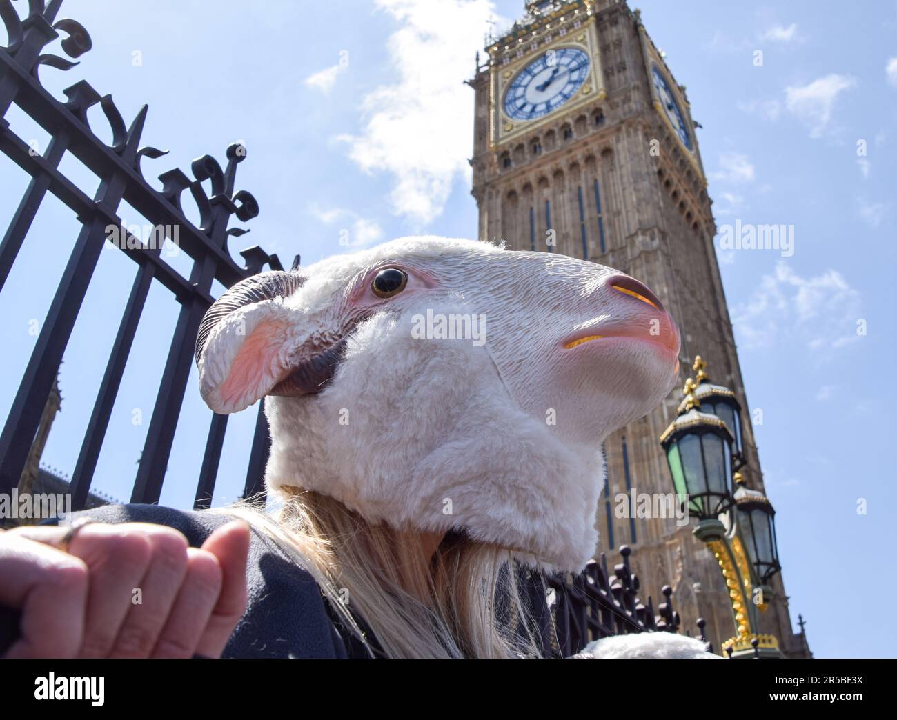 Cruelty to animals bill hi-res stock photography and images - Alamy