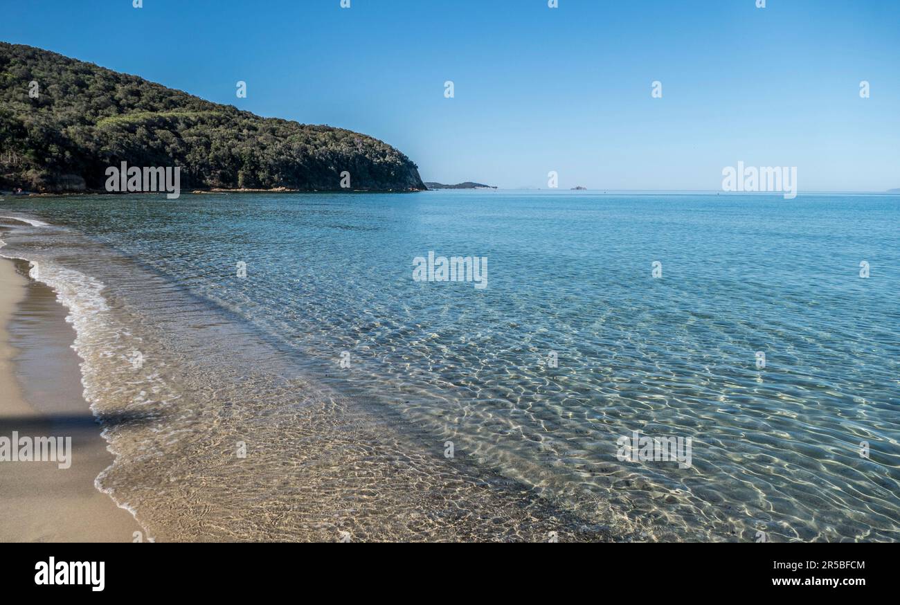 The beautiful beach with blue water of Cala Violina in Tuscany Stock ...