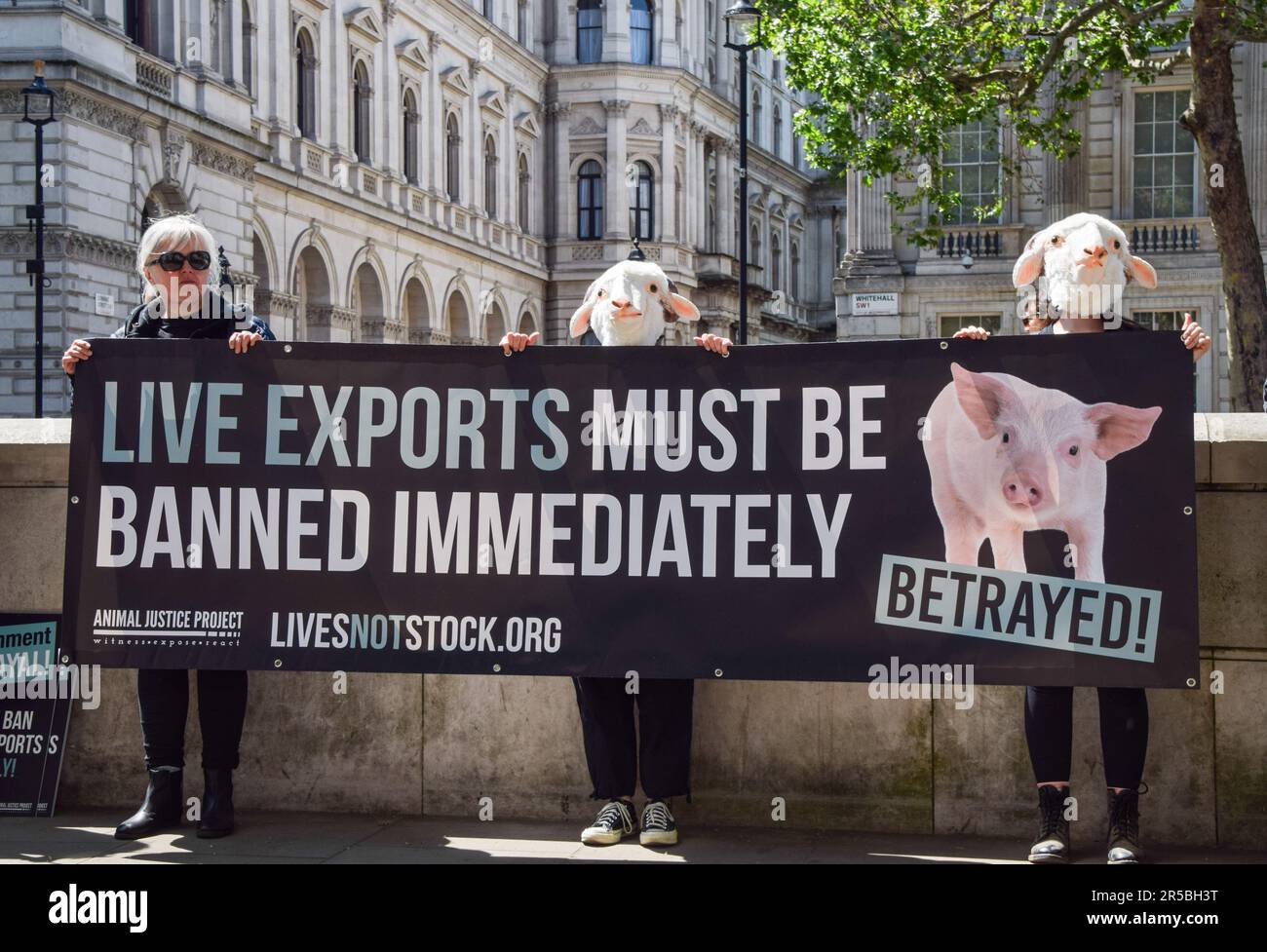 London, UK. 2nd June 2023. Animal rights activists wearing sheep masks ...
