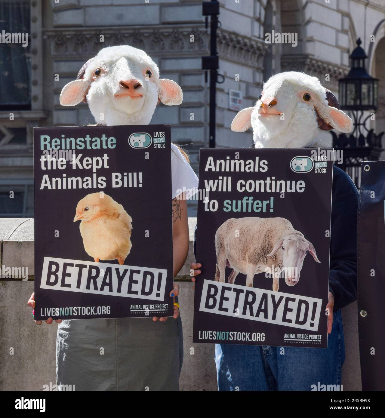 London, UK. 2nd June 2023. Animal rights activists wearing sheep masks ...
