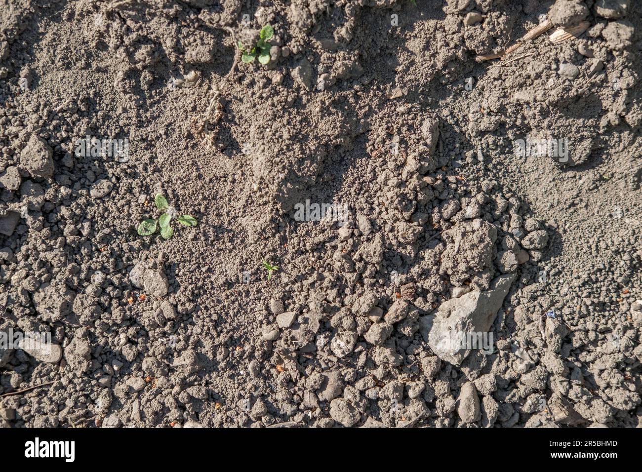 soil plain texture for background Stock Photo - Alamy