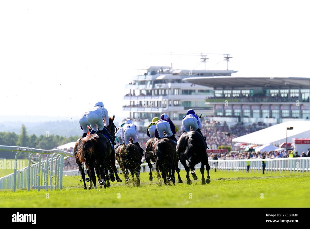 Runners and riders in action as they compete in the Nyetimber Surrey ...