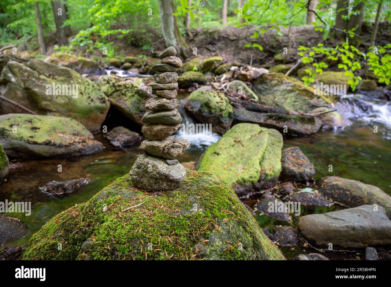 A tranquil scene of rocks in a stream surrounded by lush green foliage ...
