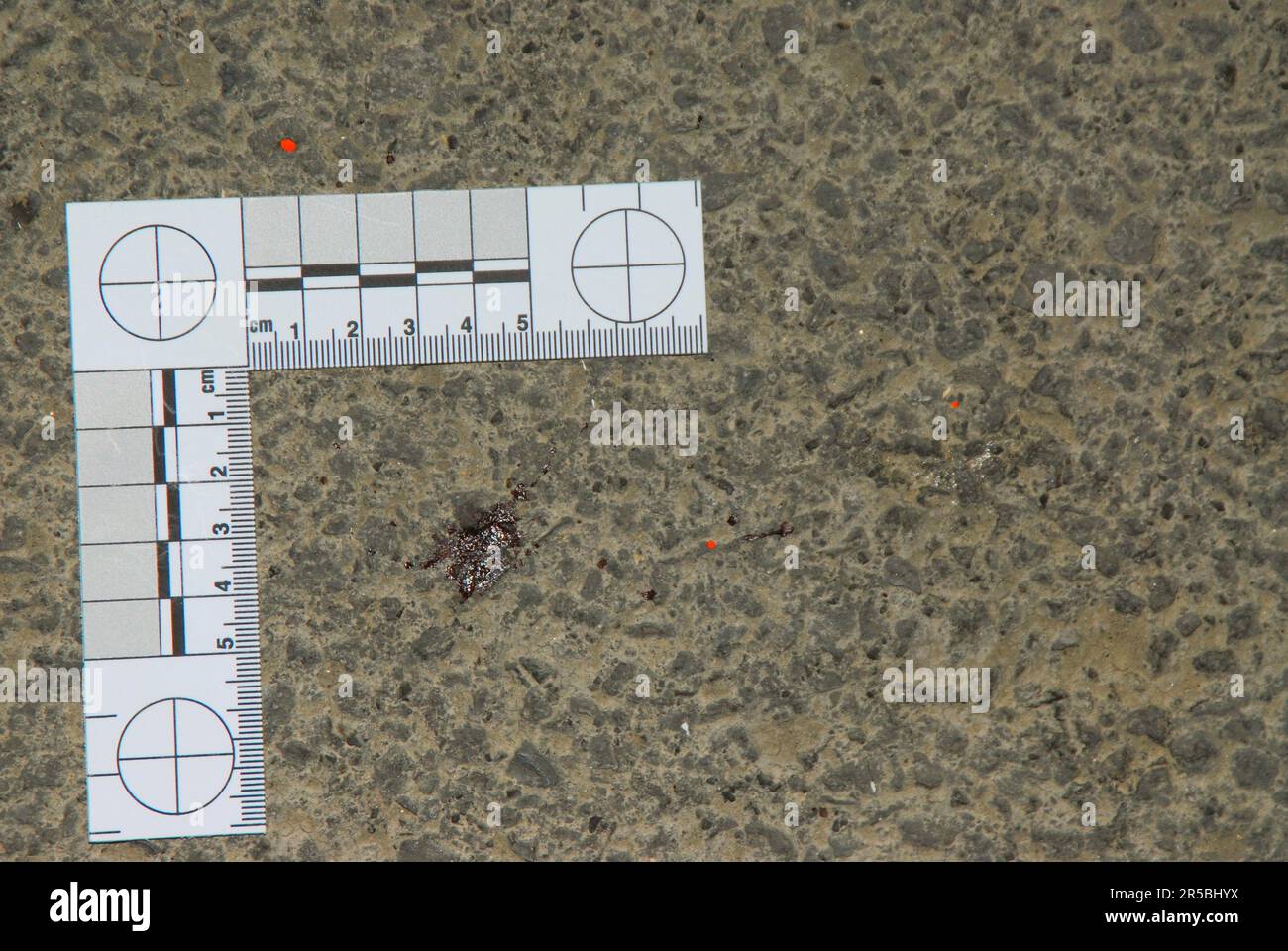 Blood on the street from a drive-by shooting Stock Photo - Alamy