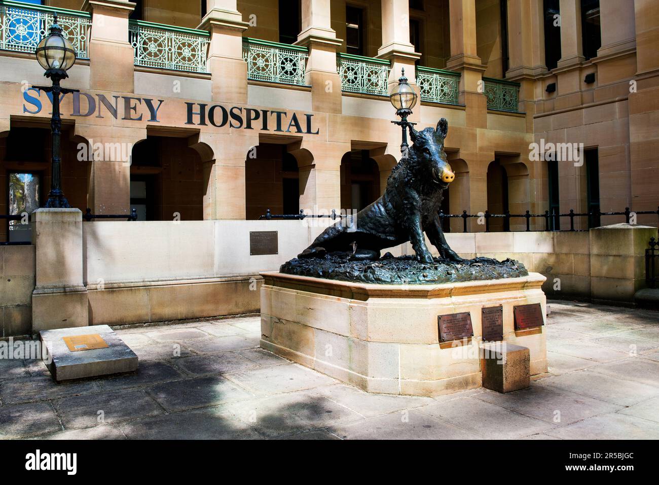 Il Porcellino (The Little Pig) bronze statue outside the Sydney ...