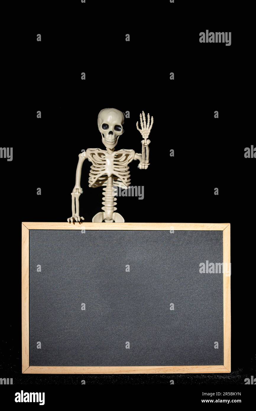 Funny human skeleton holding his hand up, standing for an empty black ...