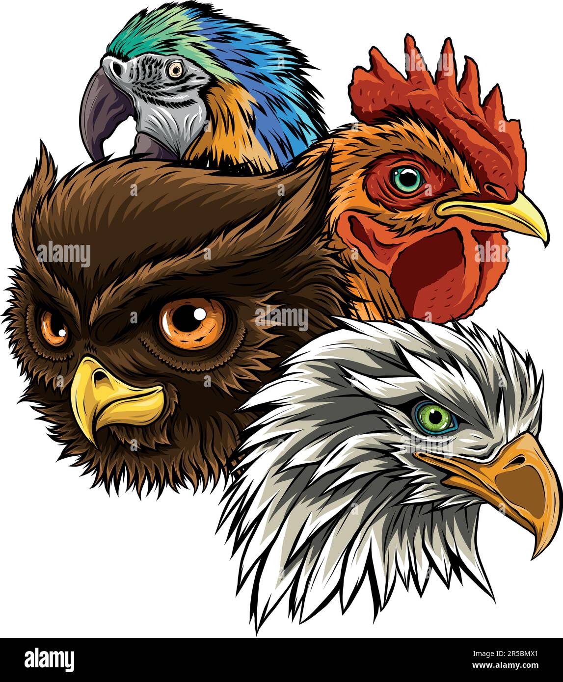 vector illustration of birds head on white background Stock Vector ...