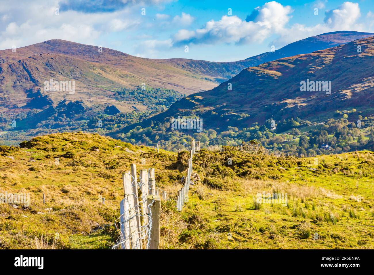 Typical irish landscape hi-res stock photography and images - Alamy