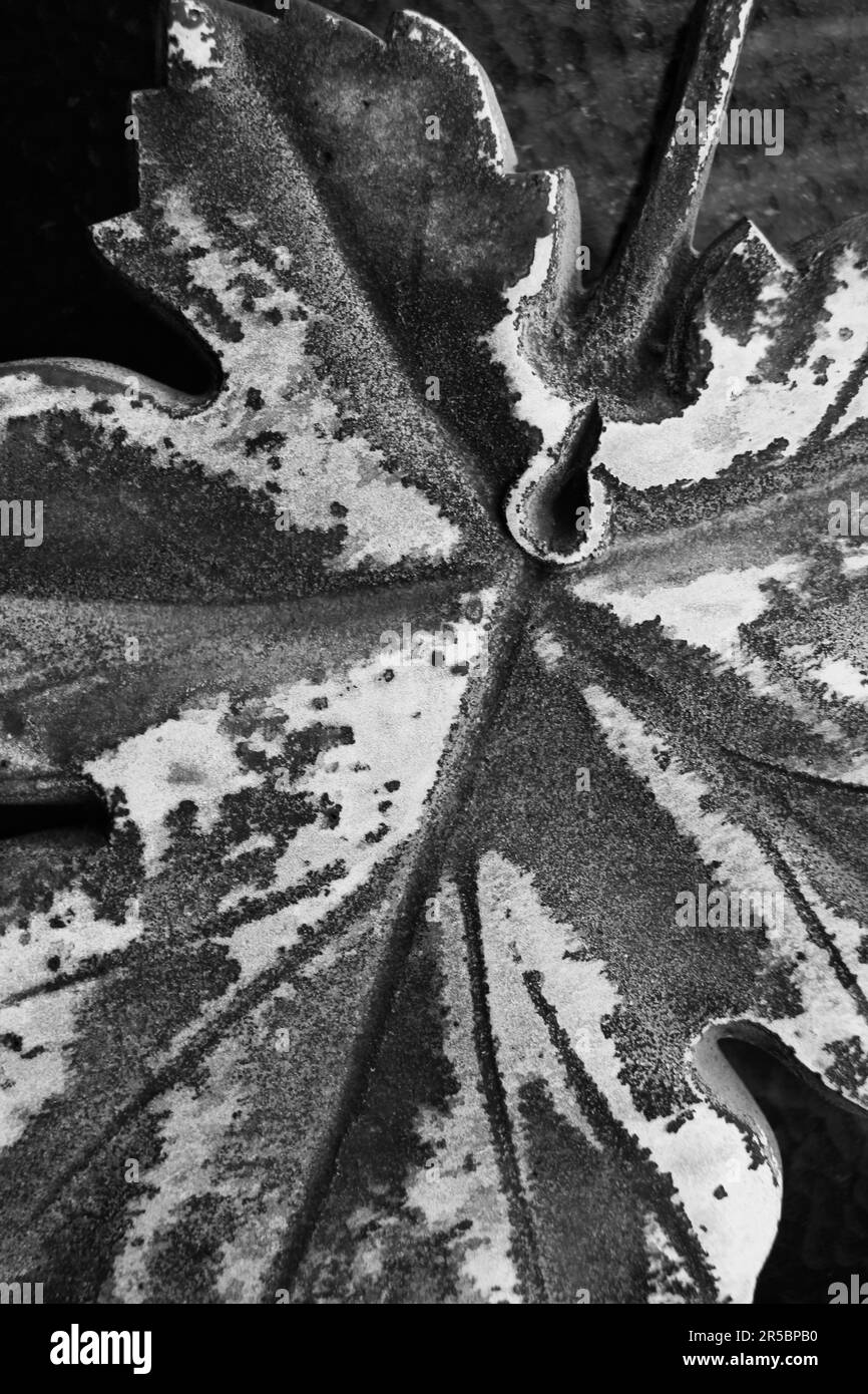A beautiful closeup of a typical leaf cast in a copper metal fence in a ...