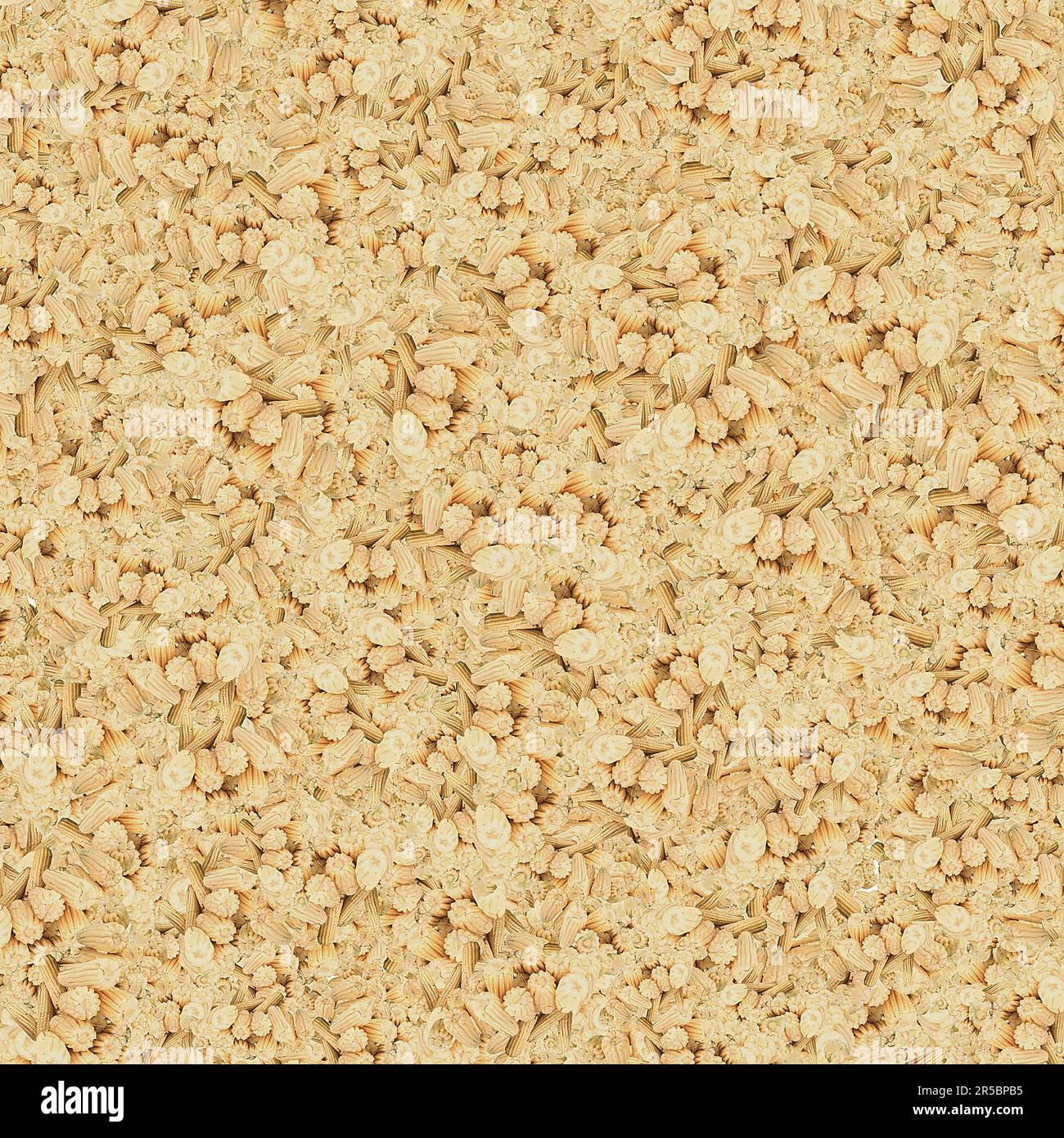 Random seed hi-res stock photography and images - Alamy