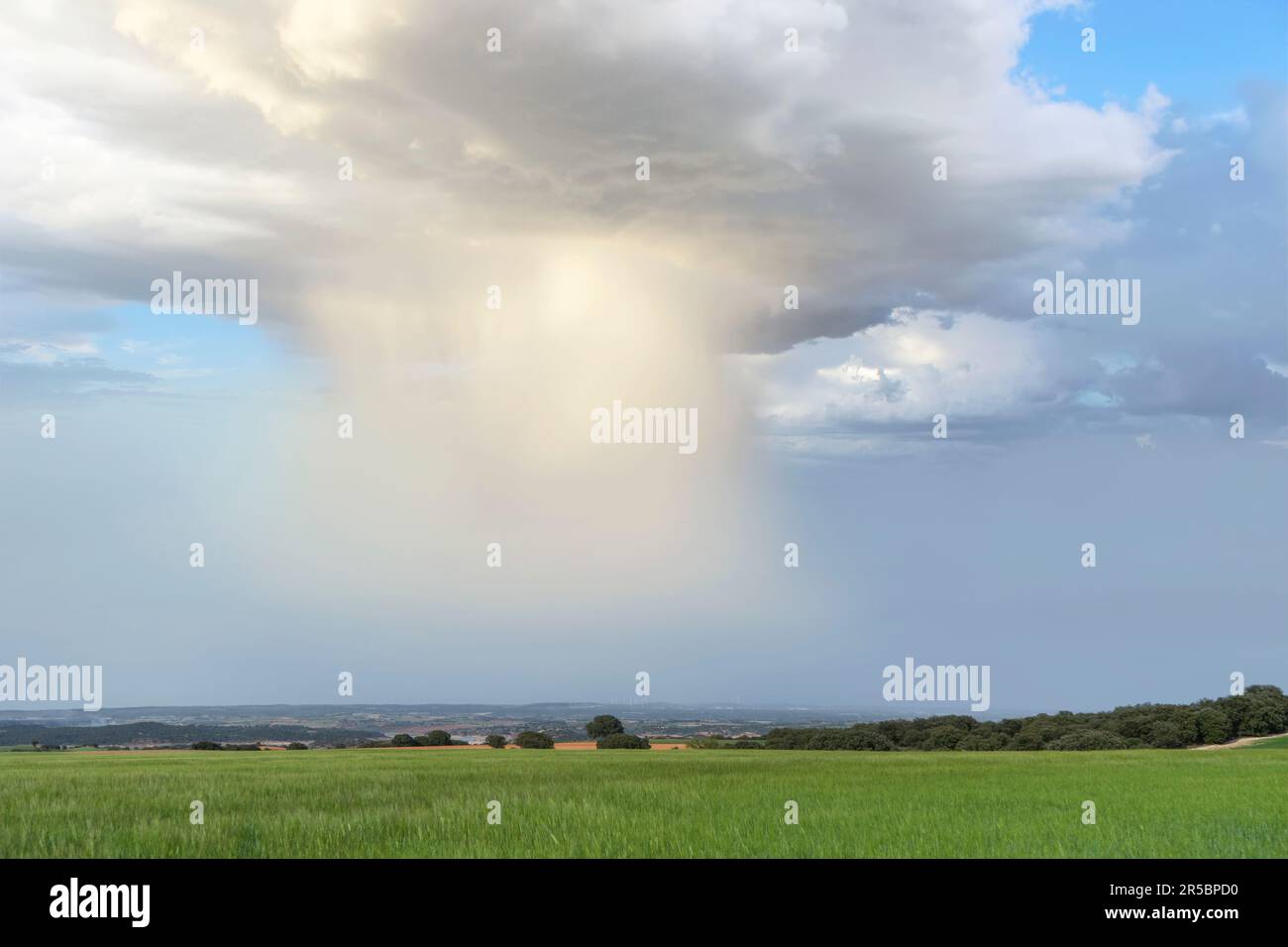 Rain curtain hi-res stock photography and images - Alamy