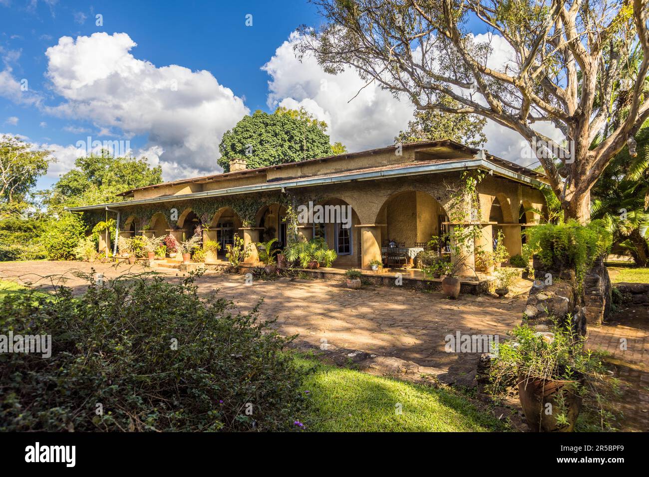Huntingdon House, Satemwa Estate, Thyolo. The Kay family home, built ...