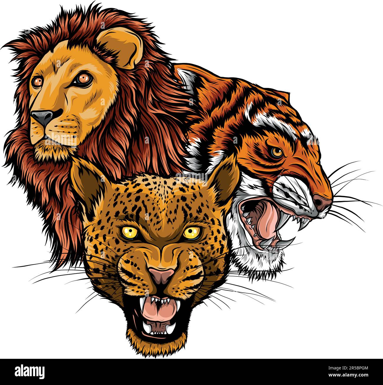 vector illustration of feline head on white background Stock Vector ...