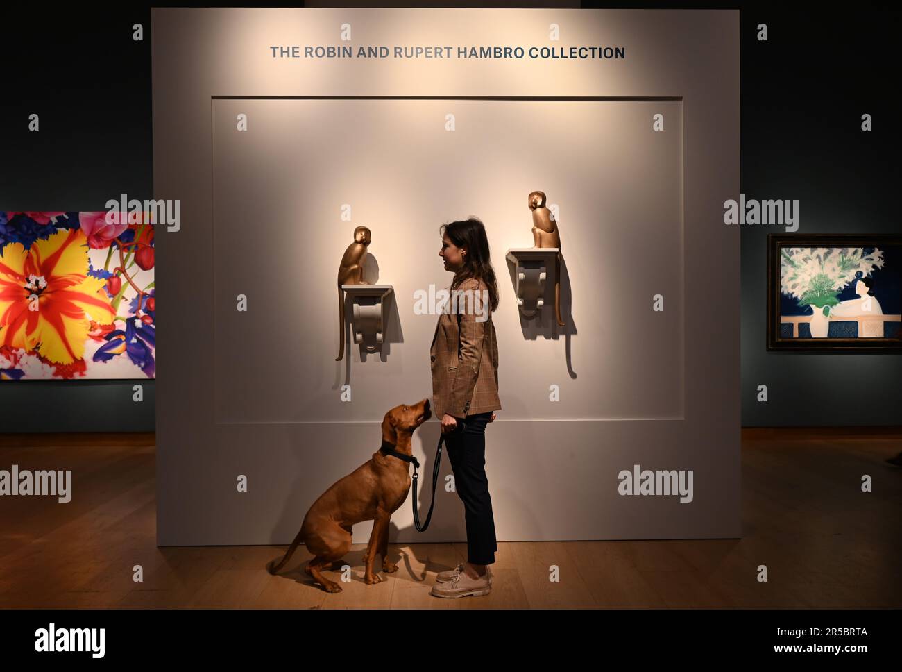 The Top lots are two playful monkeys ,Singe Alternatif SIII and Singe ...