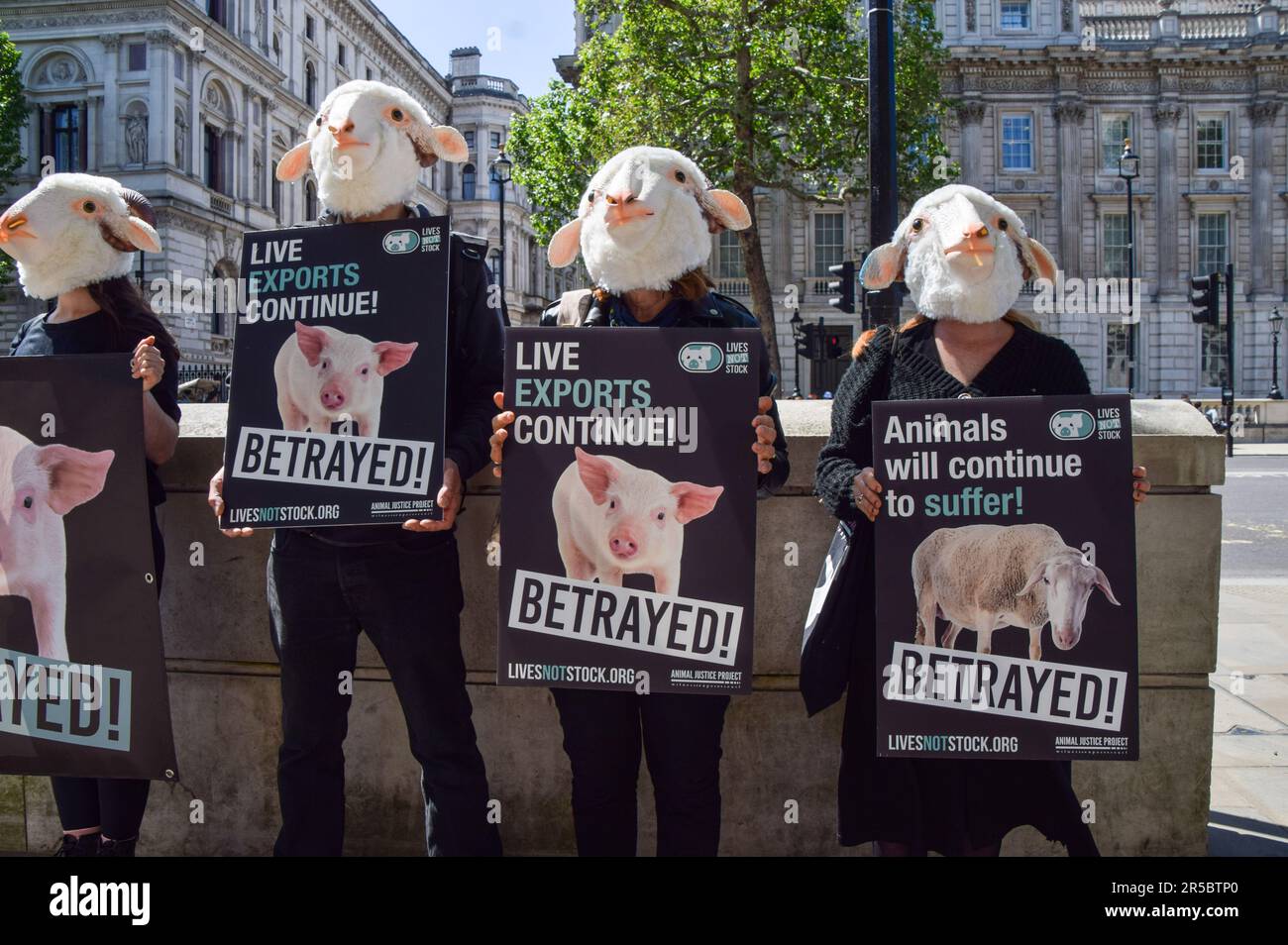 Sheep masks hi-res stock photography and images - Alamy