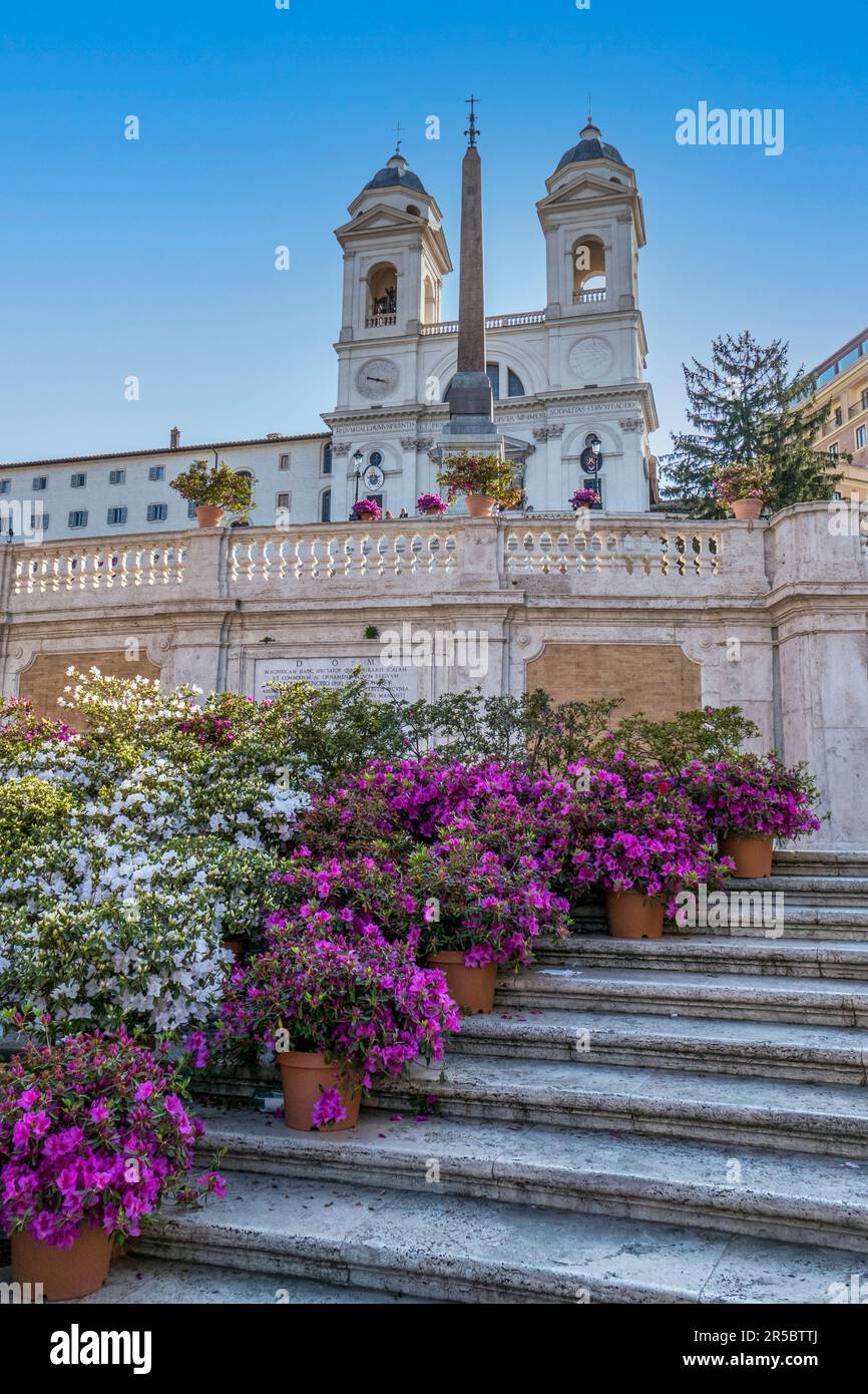 The famous Spanish Steps in Rome with beautiful flowers and no people ...