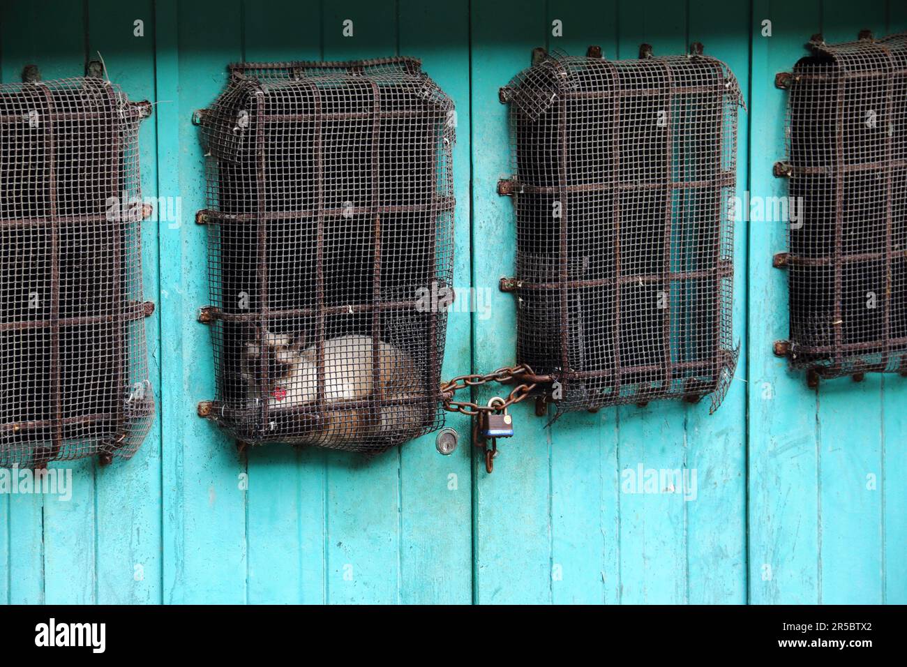A blue building with two windows, between which are suspended several ...
