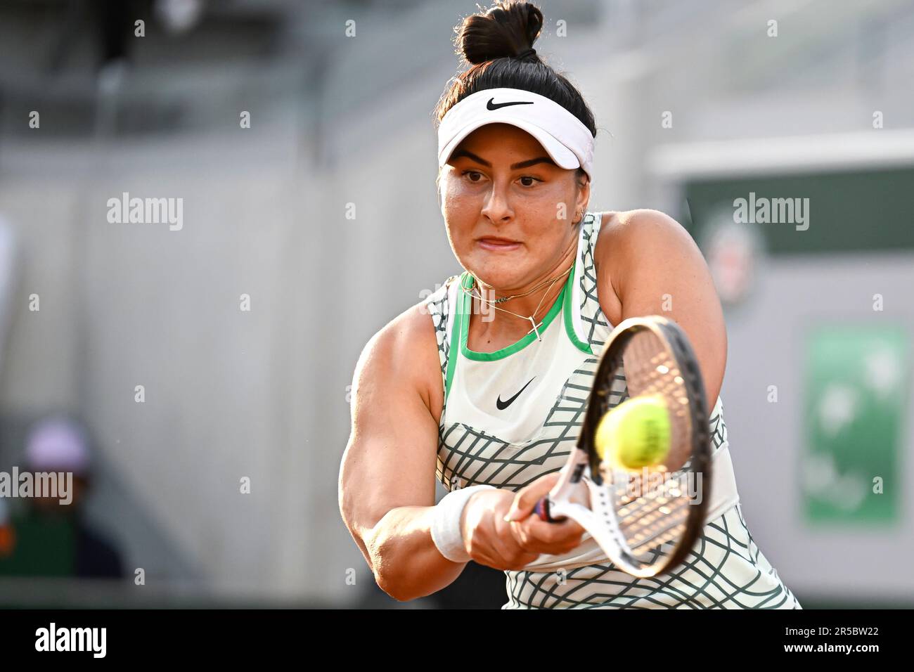 Bianca vanessa andreescu hi-res stock photography and images - Alamy