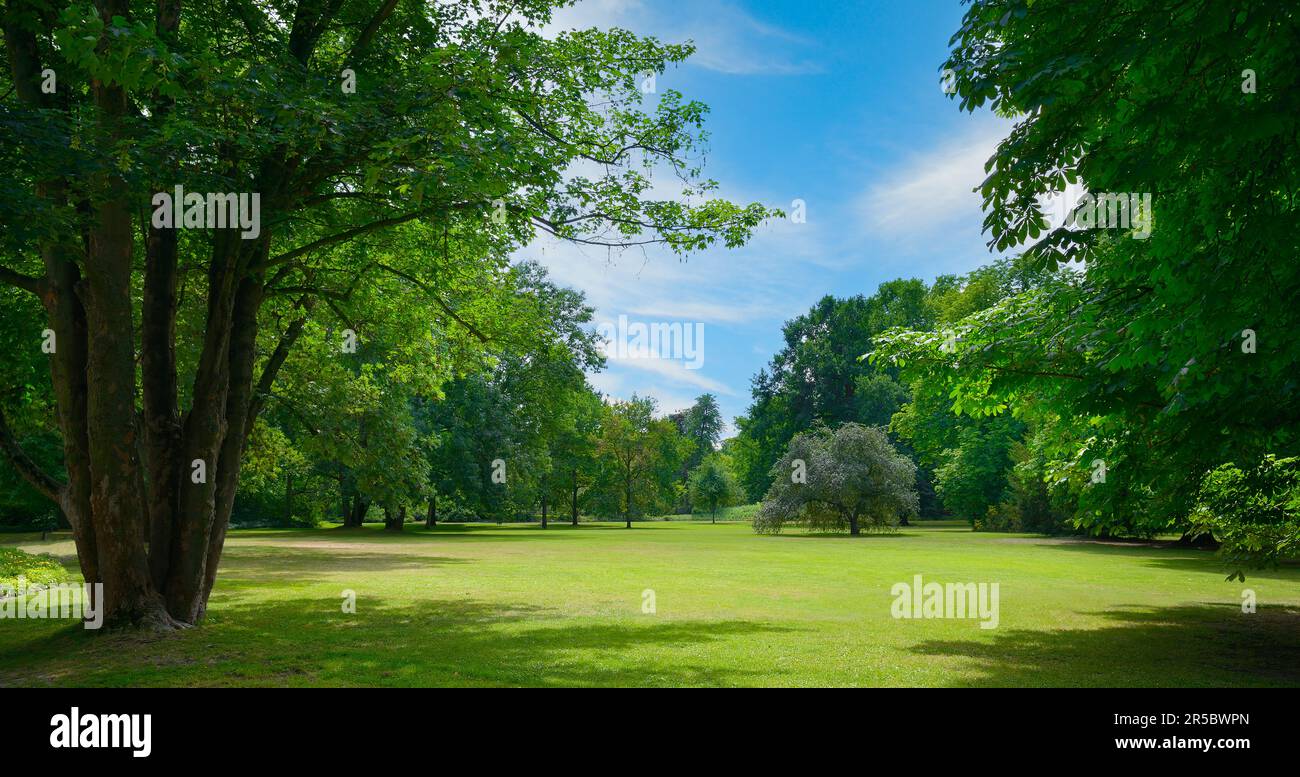 Large public park green grass hi-res stock photography and images - Alamy