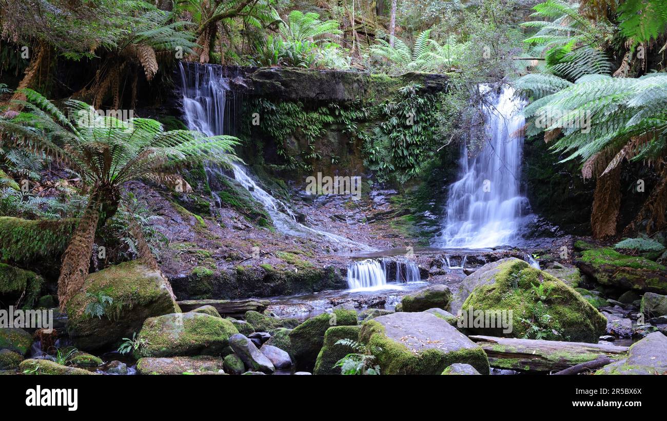 A majestic waterfall cascading down over a rocky terrain in a lush, green forest, surrounded by ...