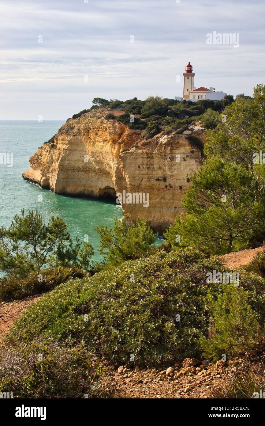 Carvoeiro, Portugal - December 25, 2019: Shrubs and trees on limestone ...