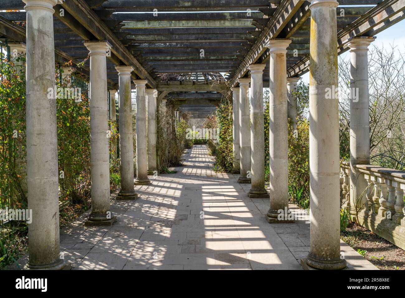 Old pergola in a park Stock Photo - Alamy