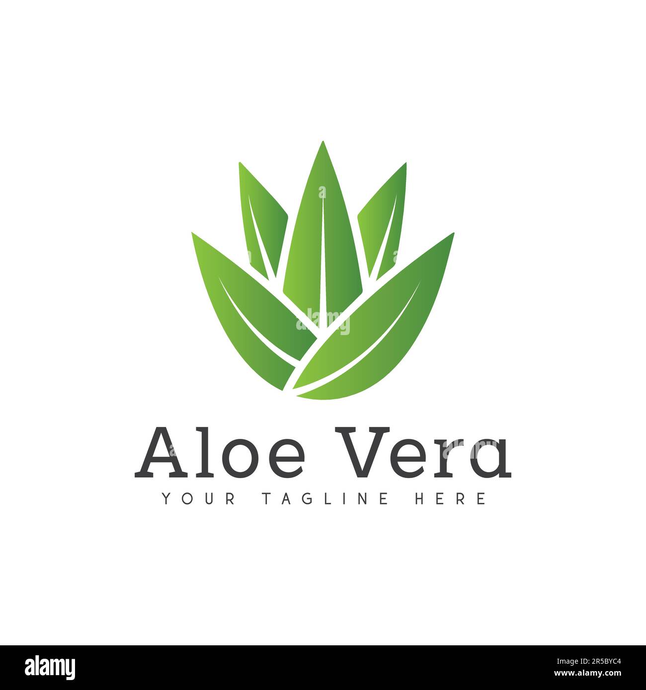 Aloe Vera Logo Design Green Plant Logotype Stock Vector Image & Art - Alamy