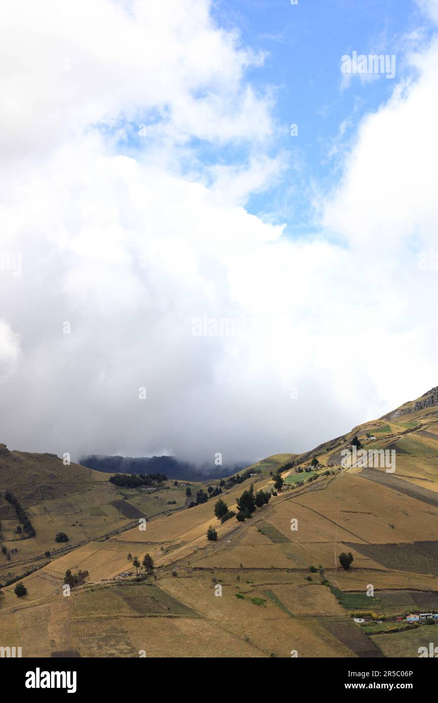 A middle-aged adult stands atop a white sheep in a sprawling green ...
