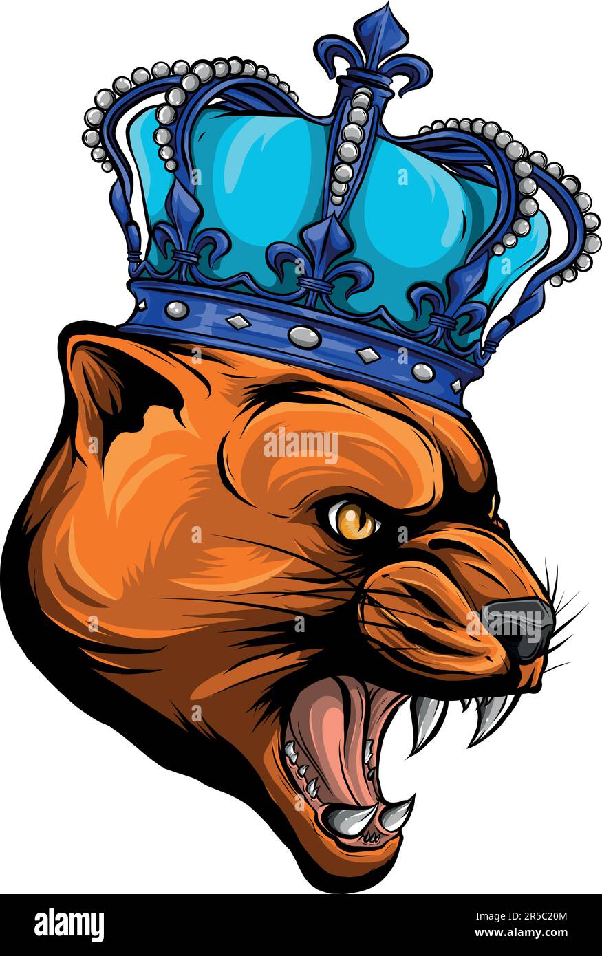 Vector portrait of an angry, grinning Puma, wild cat with a golden ...