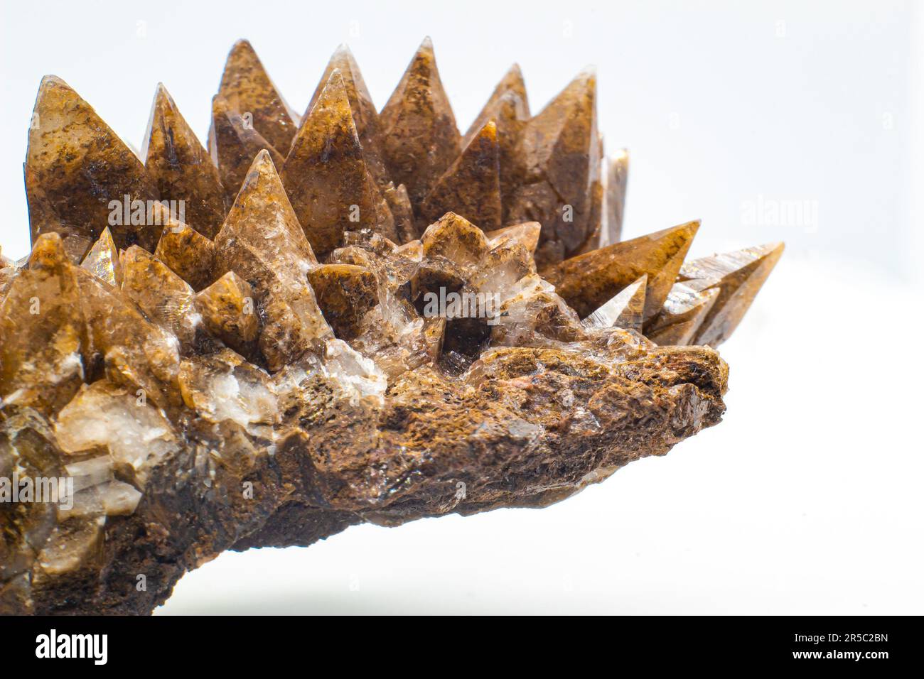 A high-resolution close-up image of a brown crystal with intricate ...