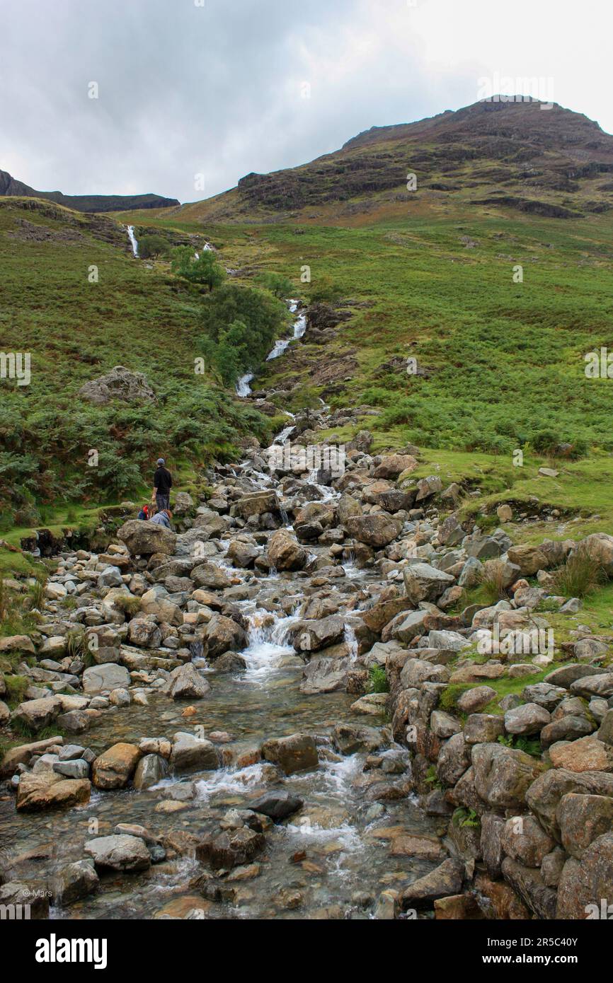 An idyllic outdoor scene featuring a mountain stream with the water ...